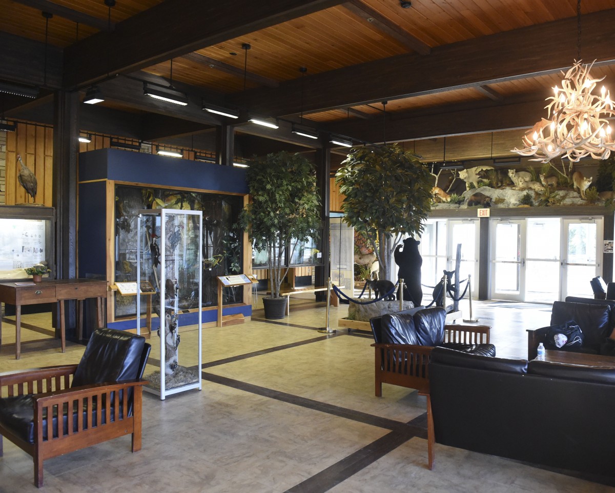 WVU's Percival Hall houses Natural History Museum - The Dominion Post
