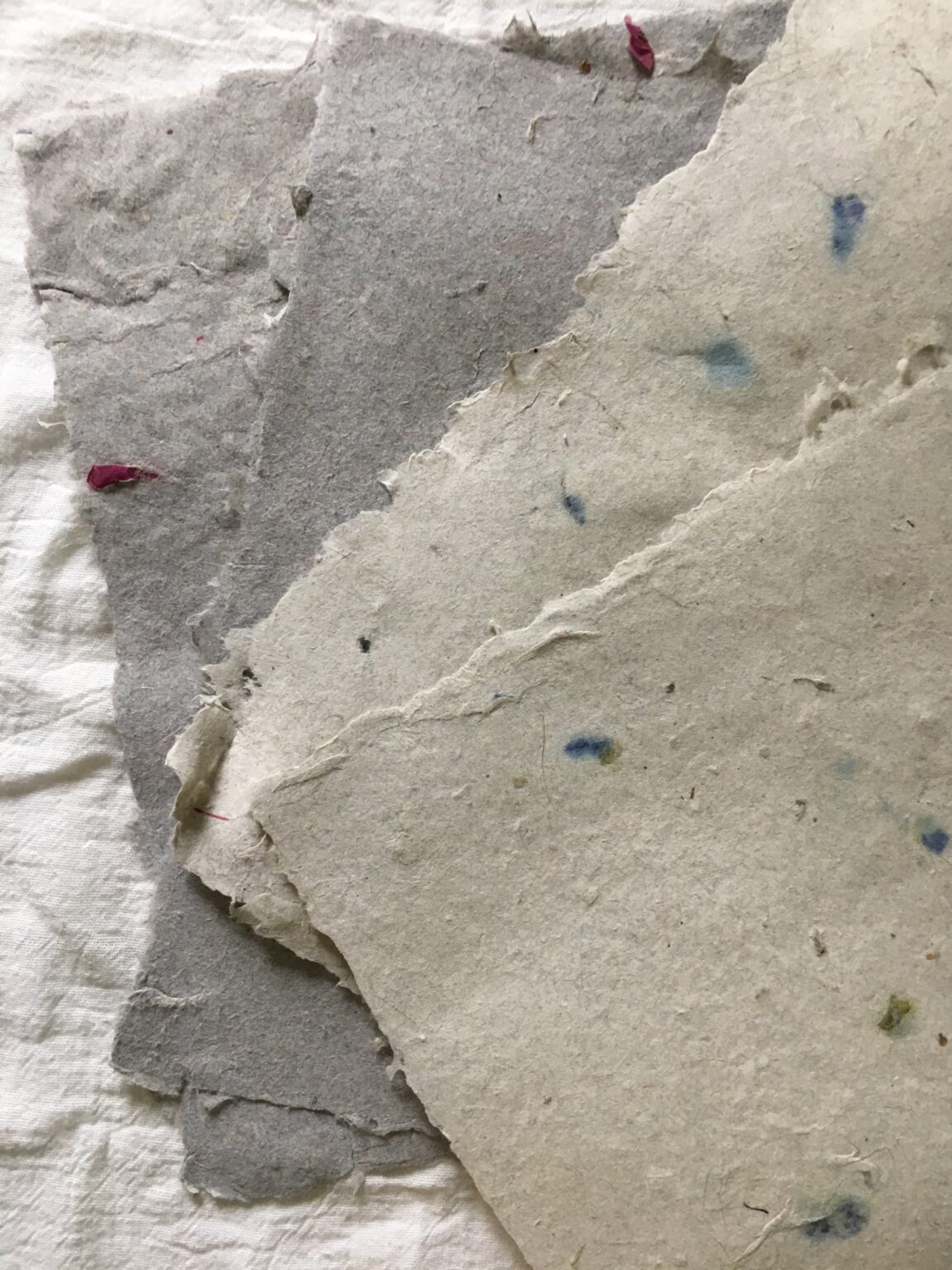 DIY Dryer Lint Paper Making - The Dominion Post