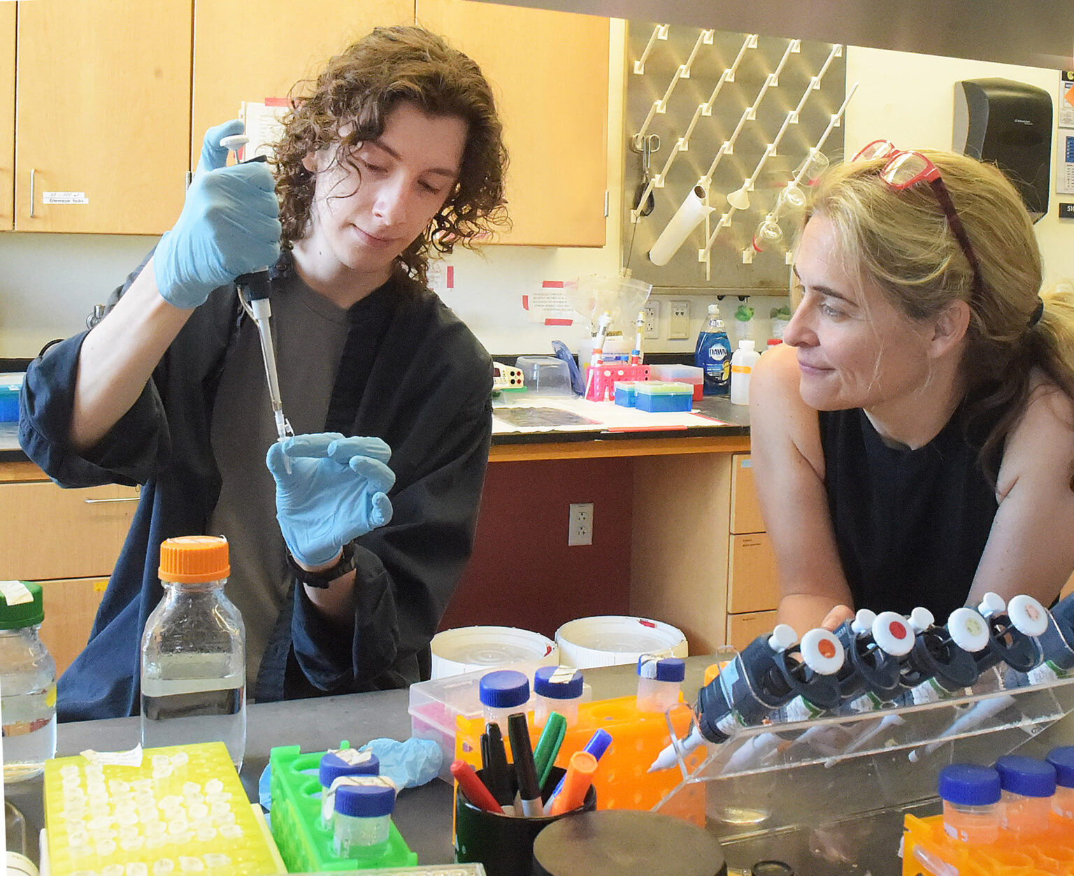 West Virginia University graduate receives National Science Foundation ...