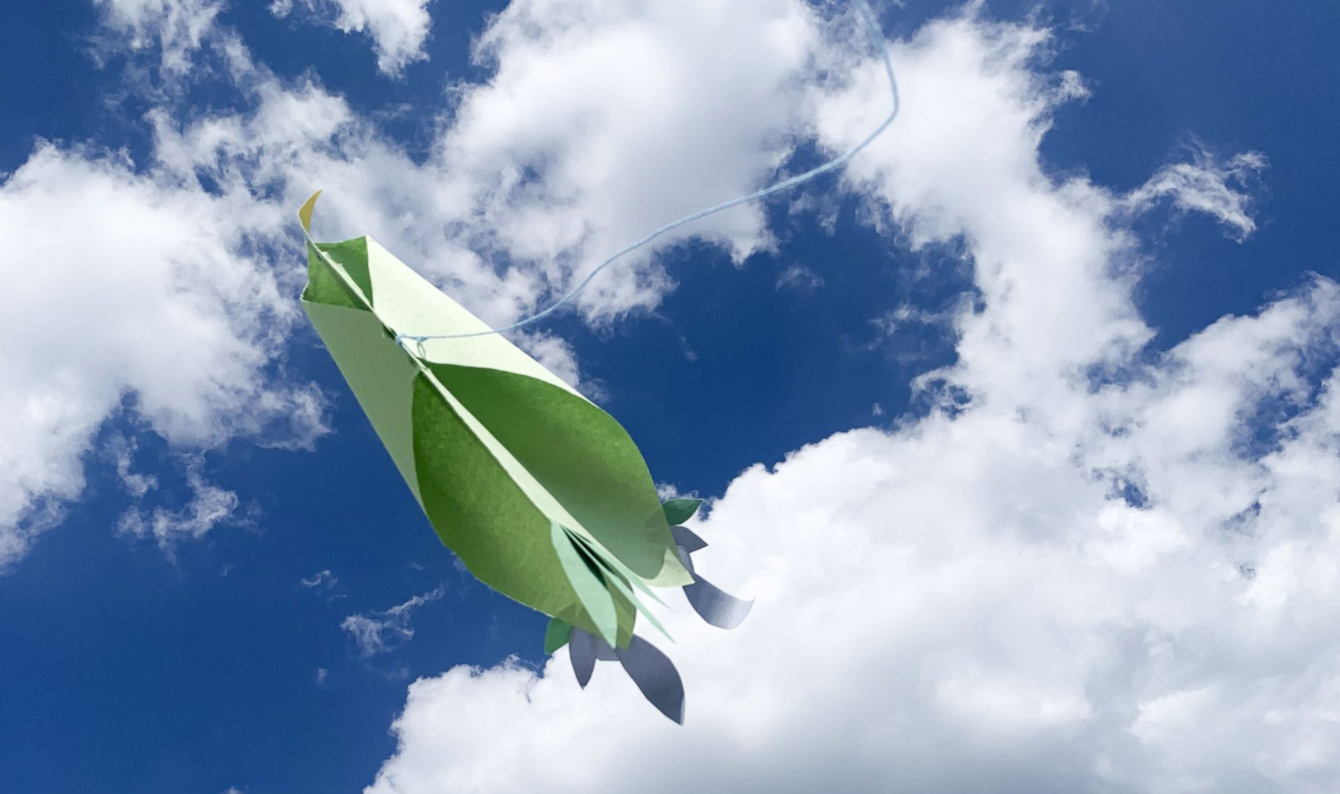 DIY bird kite - The Dominion Post