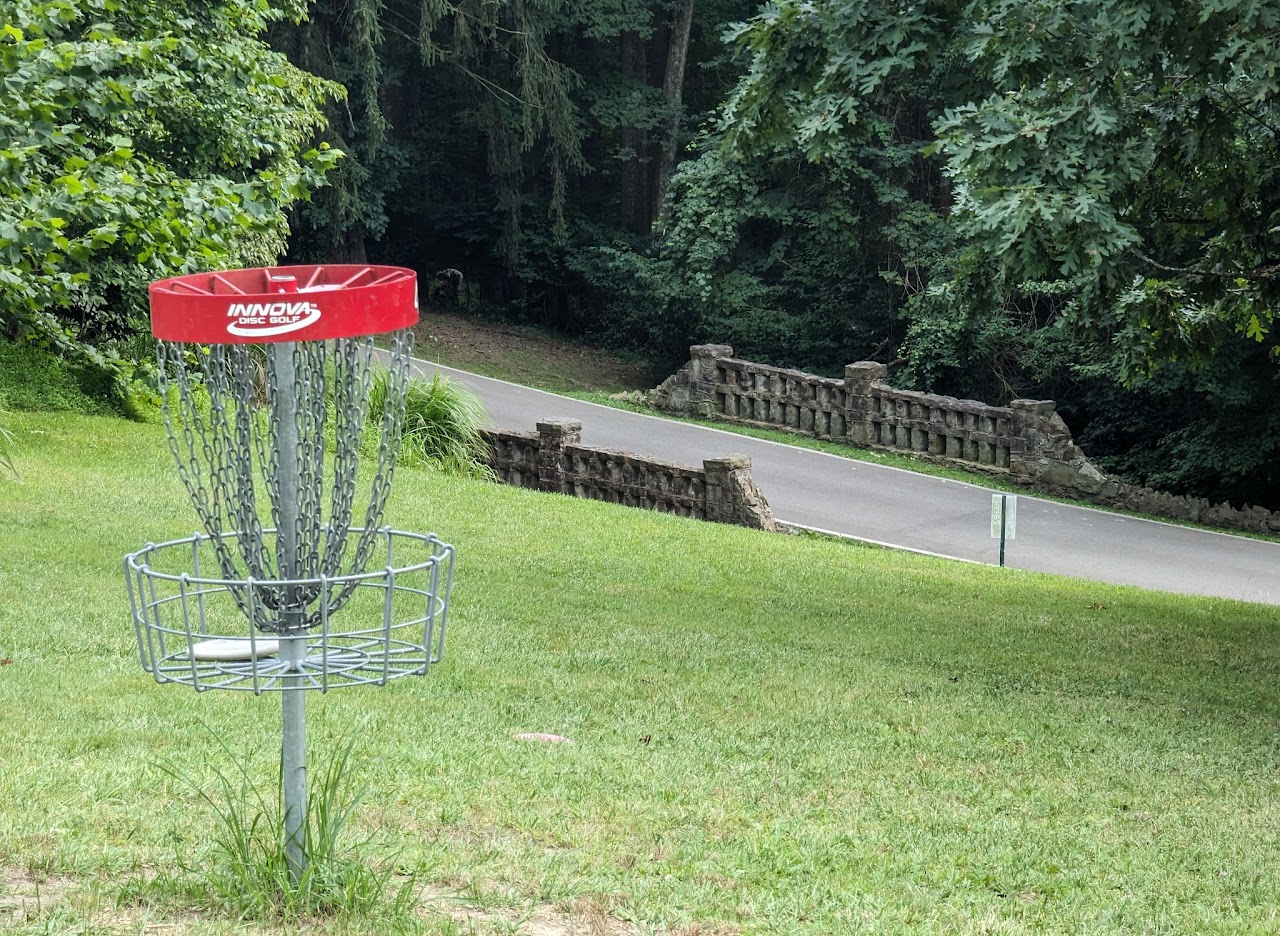 Disc golf competitors ready to let 'em soar at the 22nd Ice Bowl - The ...