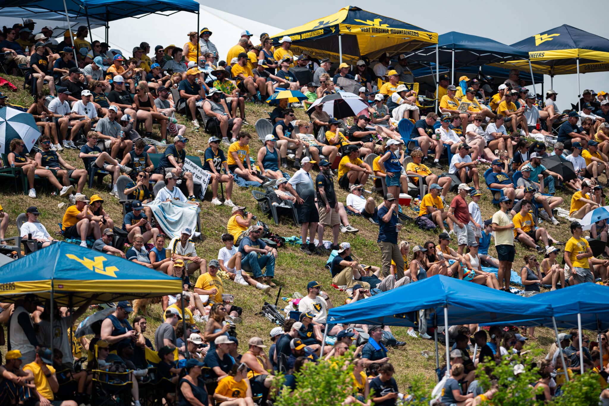 GALLERY: West Virginia heads to the World Series for the first time in ...